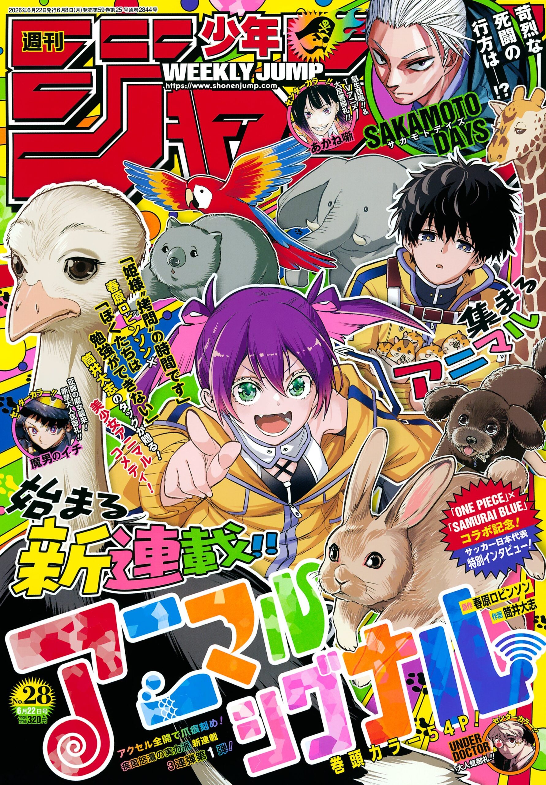 Análise – TOC Weekly Shonen Jump #28 (Ano 2026). - Analyse It
